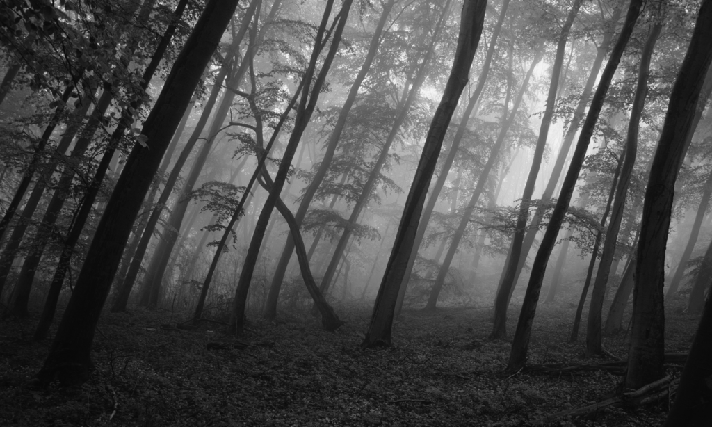 Quiet Little Horrors – A podcast about films of quiet horror